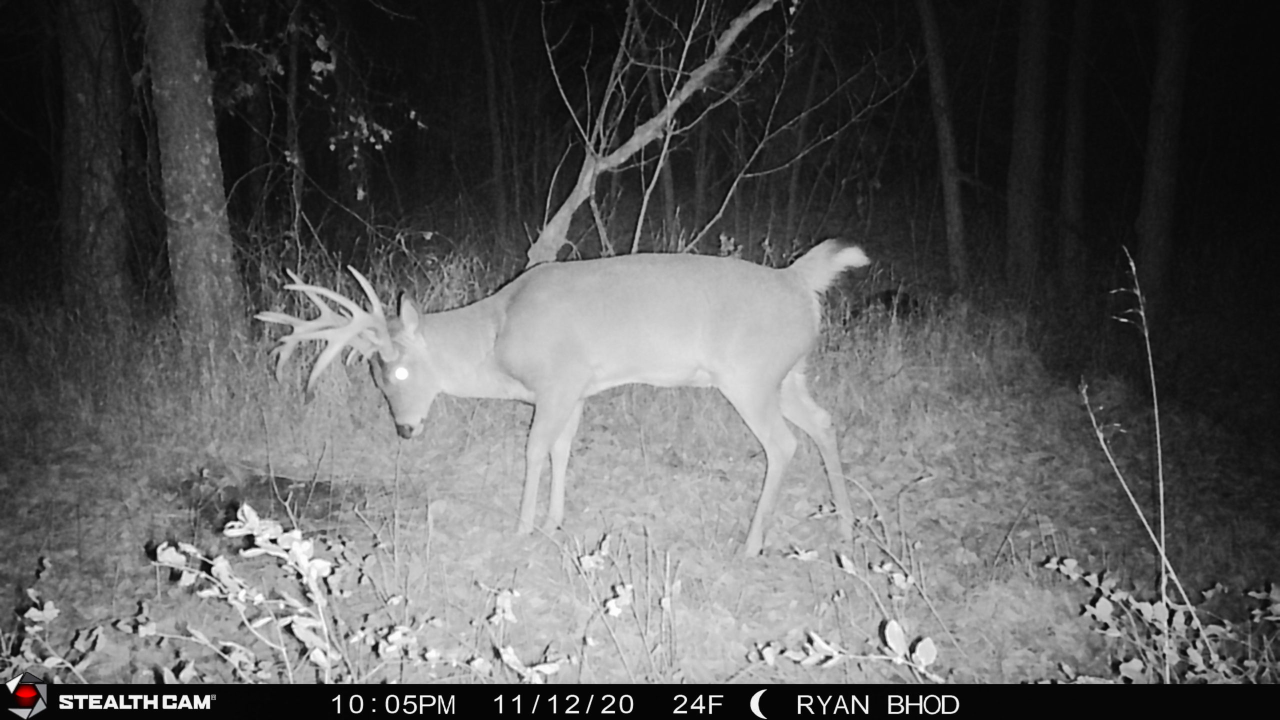 Fusion Global Cellular Trail Camera | Stealth Cam