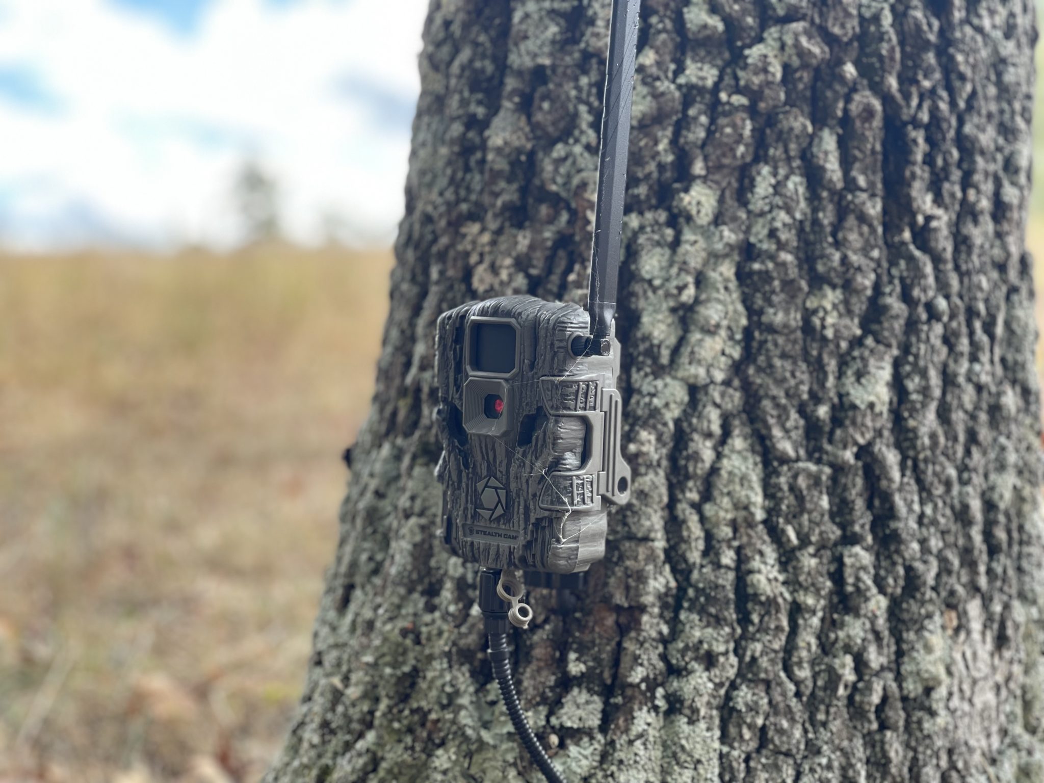 Advantages Of Cellular Game Cameras For Predator Hunters | Stealth Cam