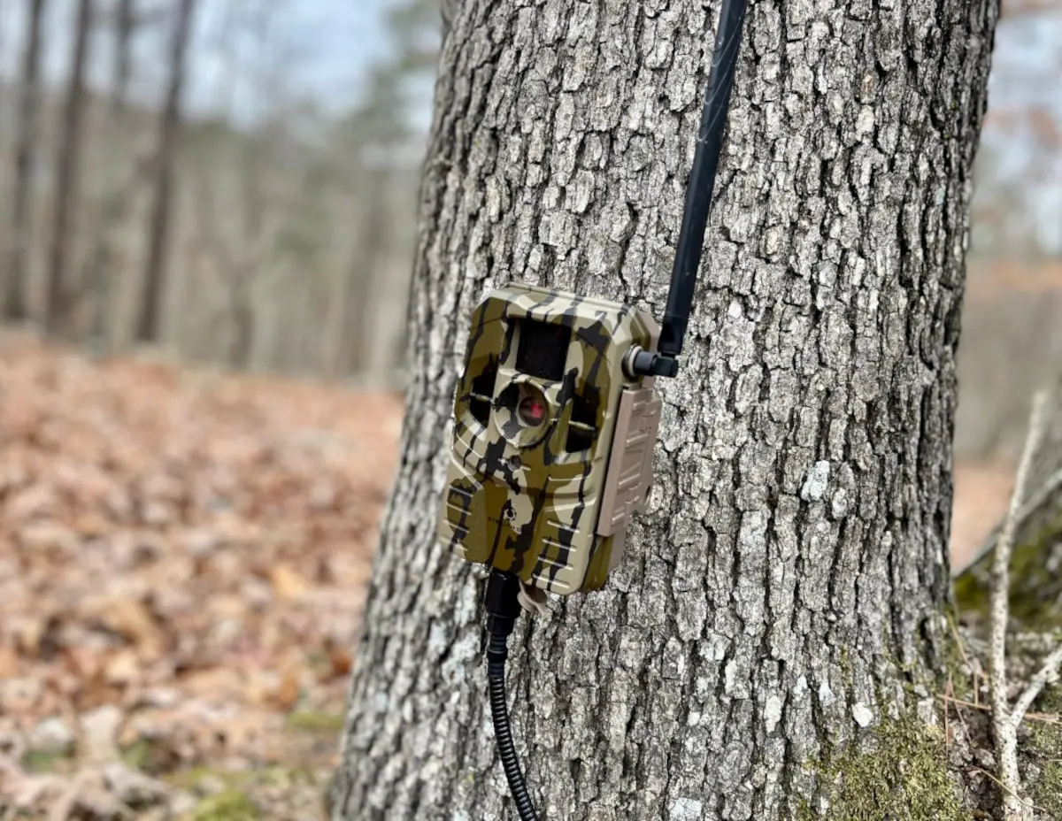 Why Trappers Should Invest In A Cellular Camera | Stealth Cam
