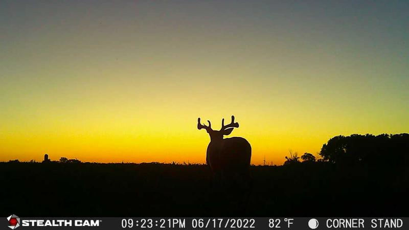 Stealth Cam - The Leader In Trail Camera Technology