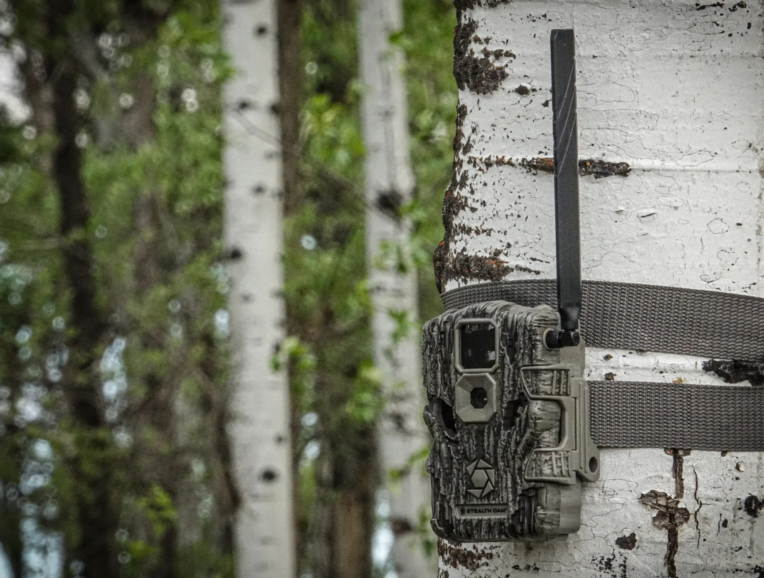 October Trail Camera Strategies | Stealth Cam