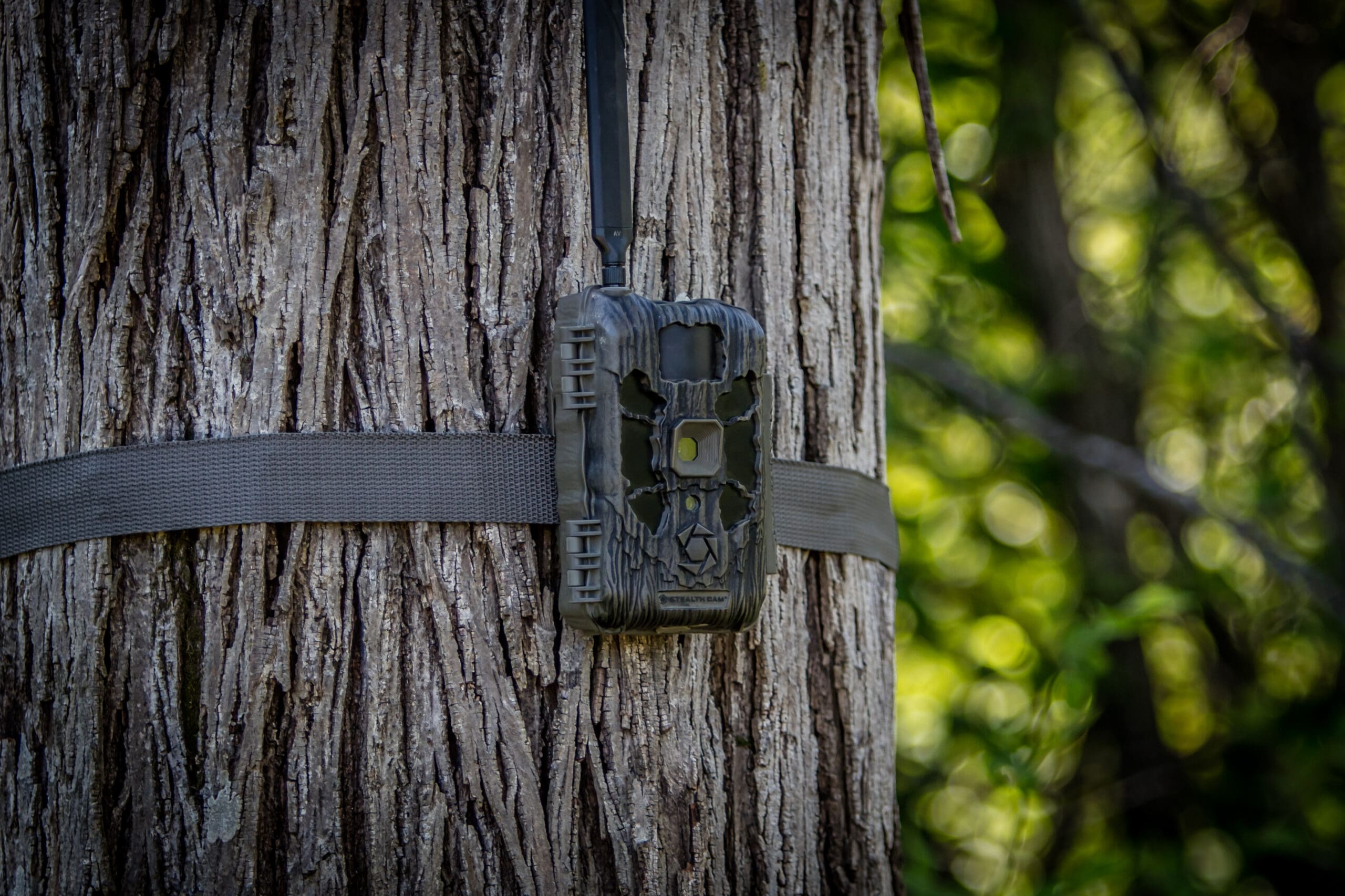 How To Reduce False Triggers Stealth Cam