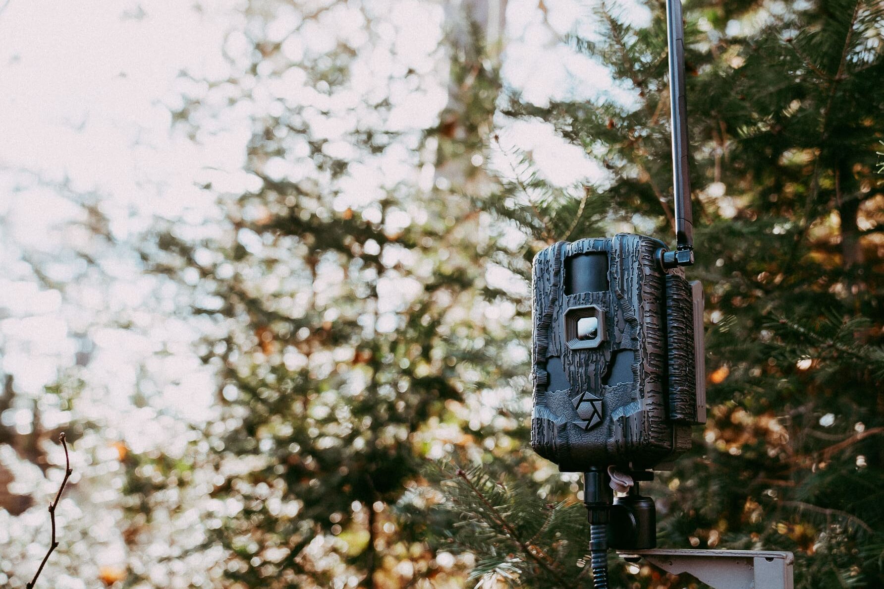 New Cellular Trail Cameras | Stealth Cam