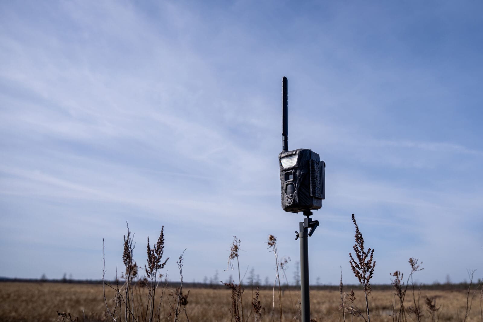 Flashback Xenon Flash Trail Camera | Stealth Cam