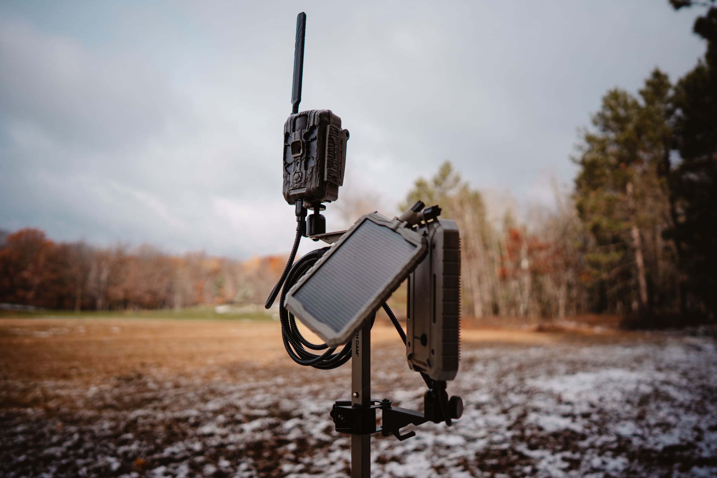 Winter Trail Cam Guide | Stealth Cam