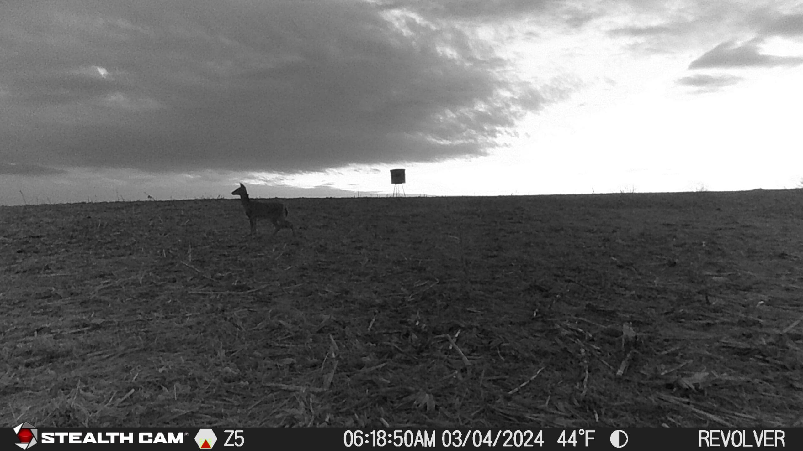 Revolver Pro 360° Cellular Trail Camera | Stealth Cam