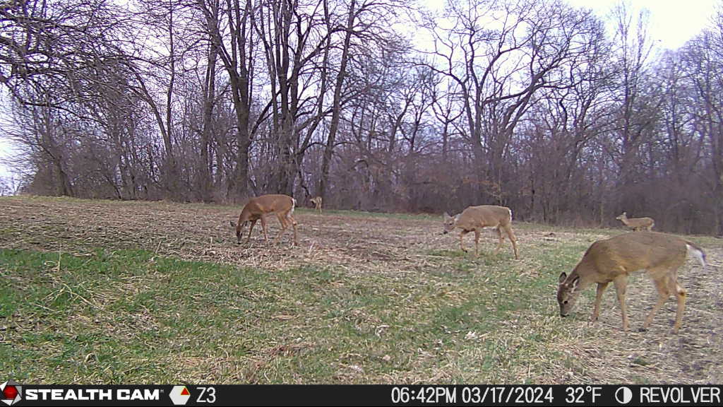 Revolver Pro 360° Cellular Trail Camera | Stealth Cam