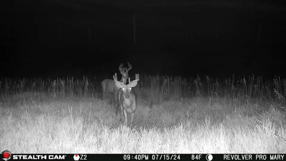 Revolver Pro 360° Cellular Trail Camera | Stealth Cam