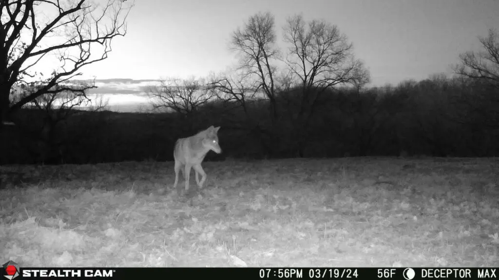 Deceptor™ Max Cellular Trail Camera | Stealth Cam