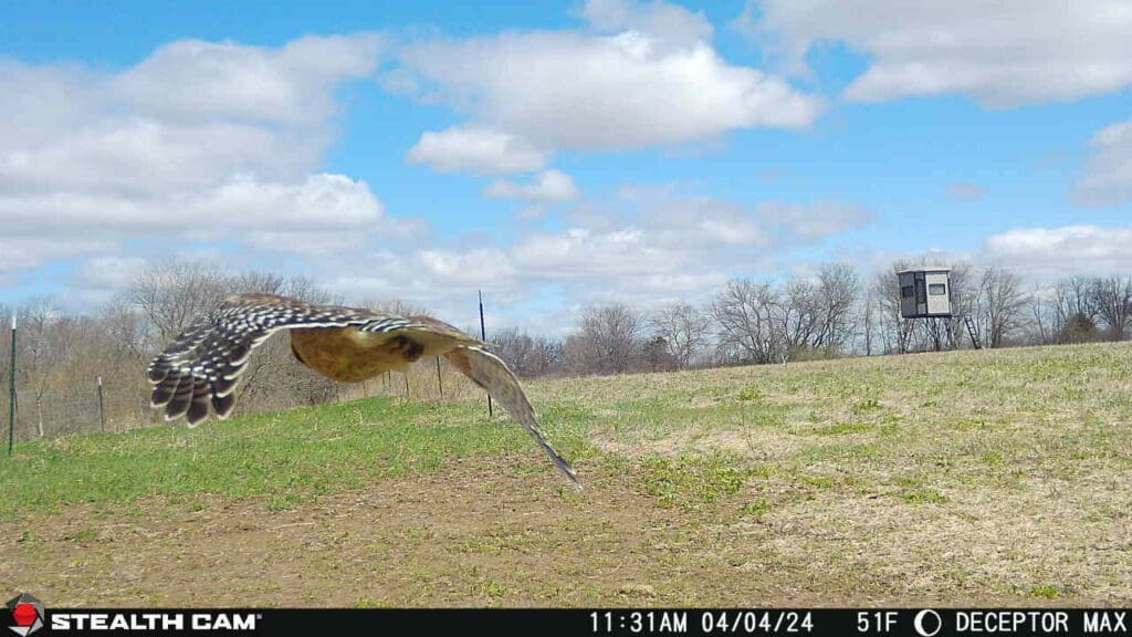 Deceptor™ Max Cellular Trail Camera | Stealth Cam