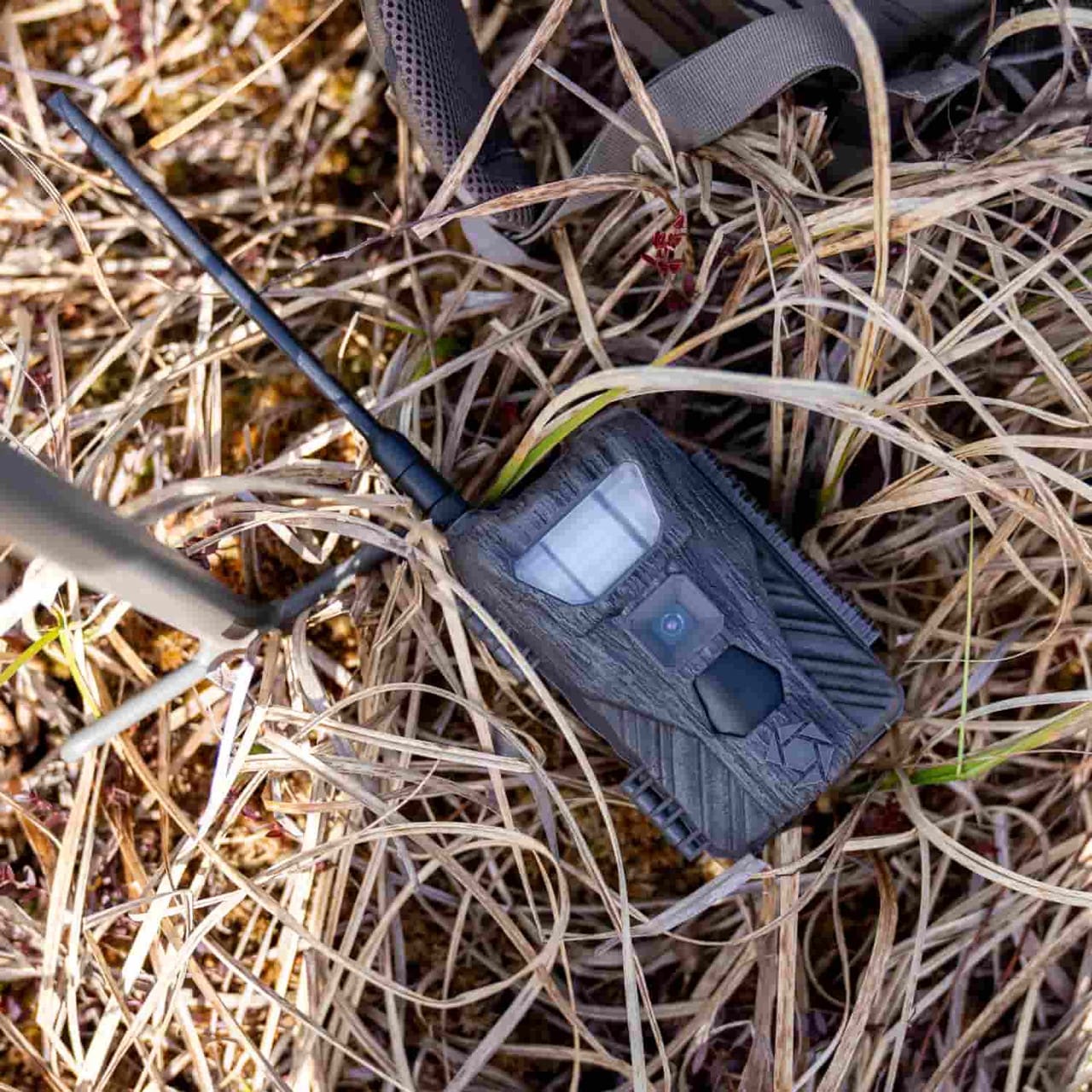 Flashback White Flash Cellular Trail Camera | Stealth Cam