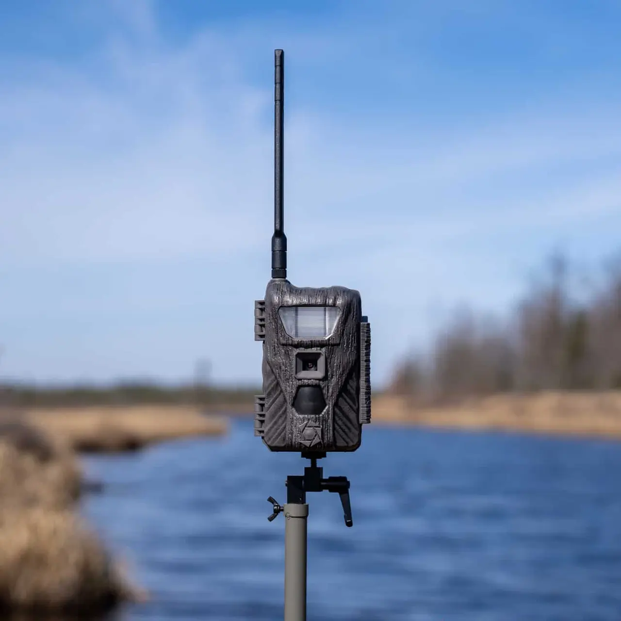 Flashback White Flash Cellular Trail Camera | Stealth Cam