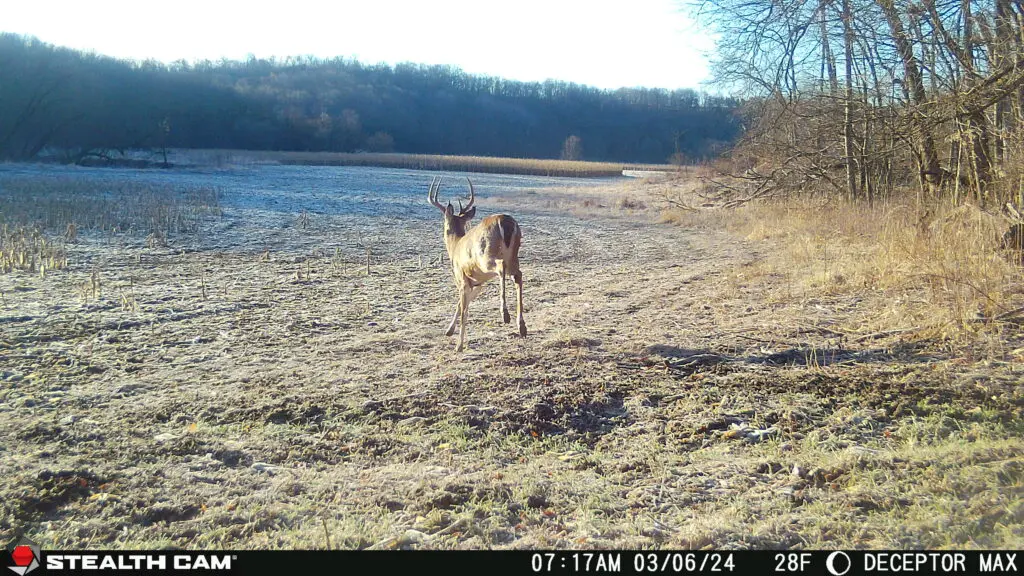 Deceptor™ Max Cellular Trail Camera | Stealth Cam