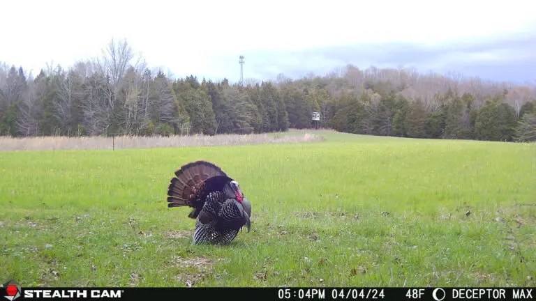 Deceptor™ Max Cellular Trail Camera | Stealth Cam