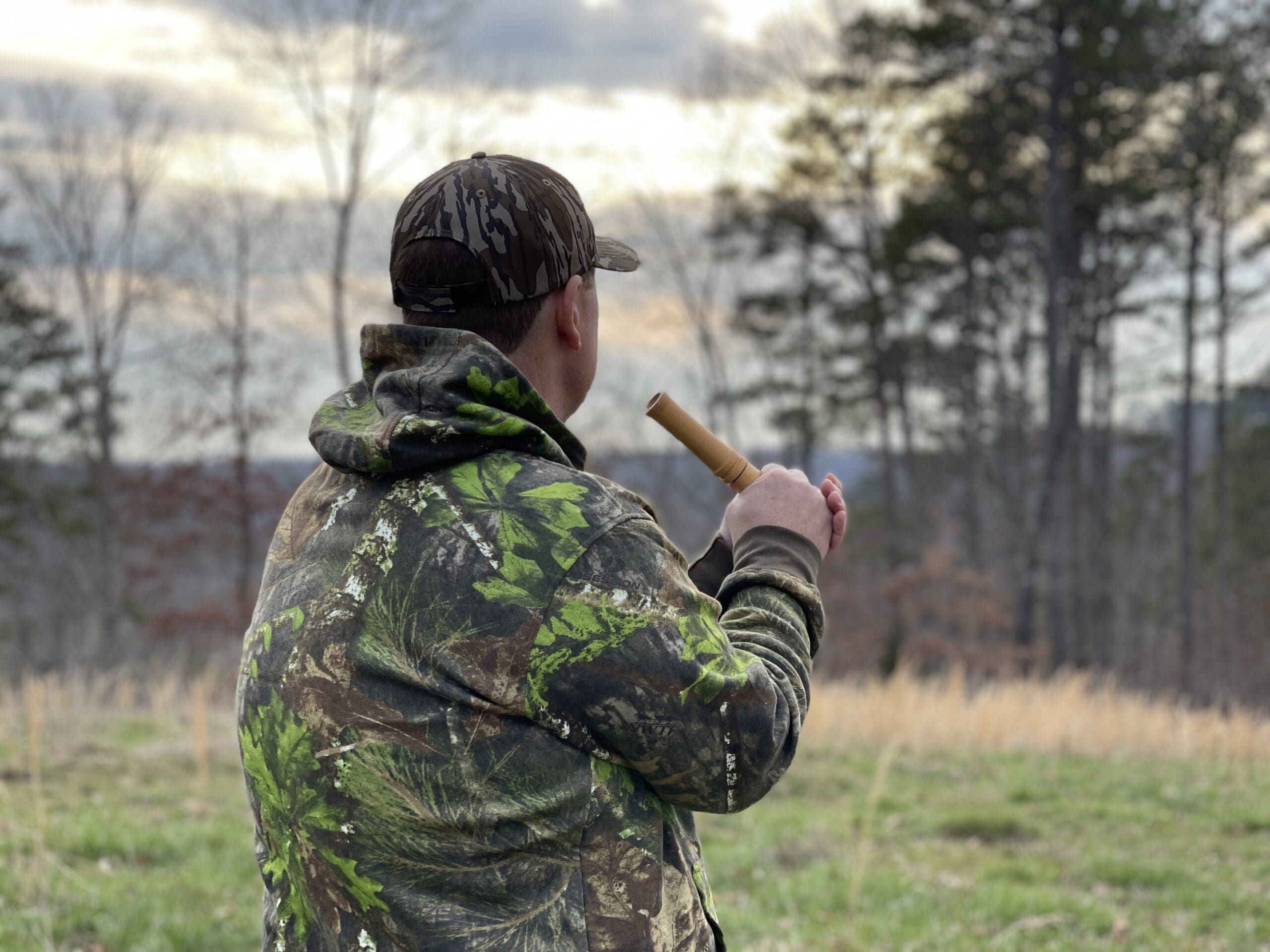 Conquering the Art of Spring Turkey Scouting: Tips for Success ...