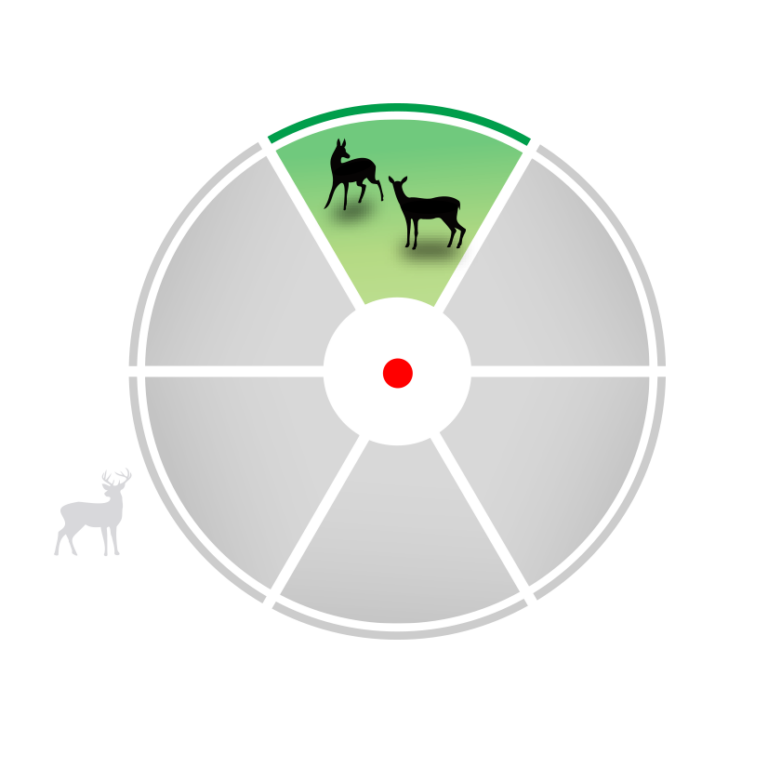 Revolver Pro 2.0 | Stealth Cam Technology