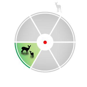 360-Degree Trail Cameras | Stealth Cam Technology