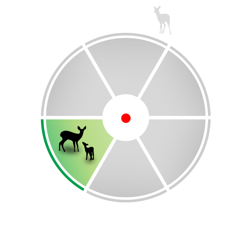 360-Degree Trail Cameras | Stealth Cam Technology