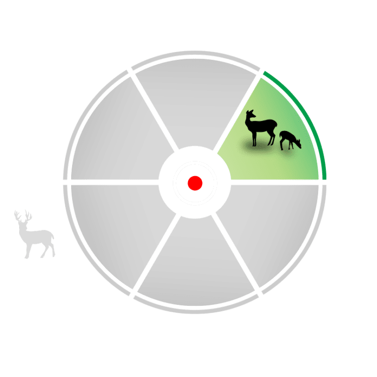 360-Degree Trail Cameras | Stealth Cam Technology