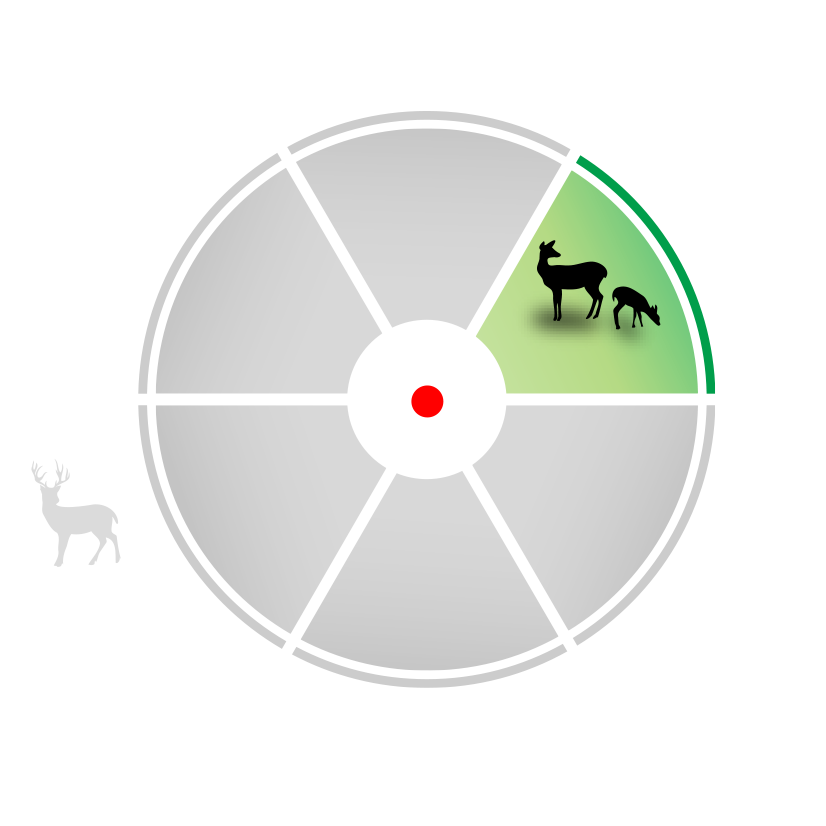 360-Degree Trail Cameras | Stealth Cam Technology