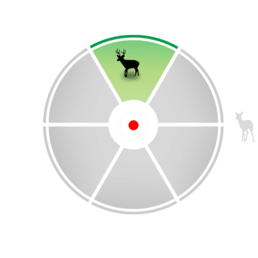 360-Degree Trail Cameras | Stealth Cam Technology