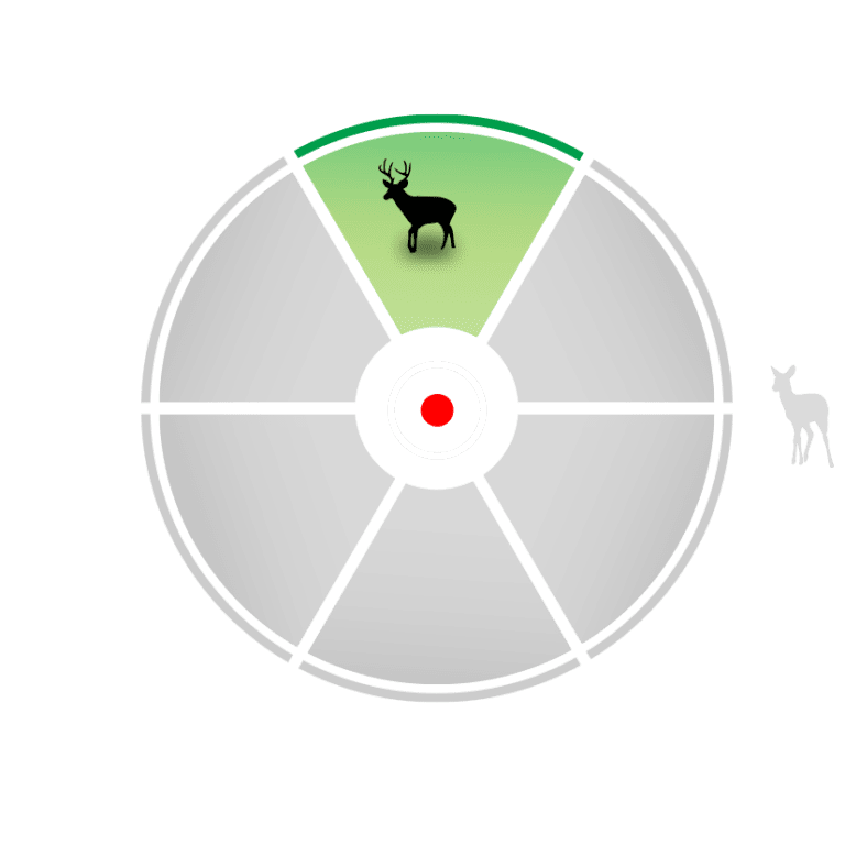 360-Degree Trail Cameras | Stealth Cam Technology