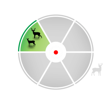 360-Degree Trail Cameras | Stealth Cam Technology