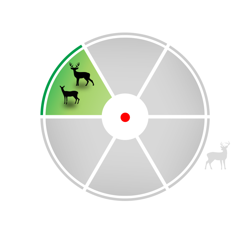 360-Degree Trail Cameras | Stealth Cam Technology