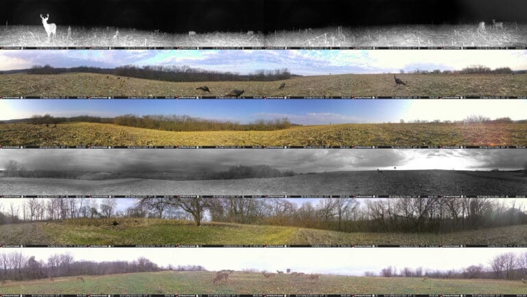 10 Reasons Why You Need a 360 Trail Camera | Stealth Cam