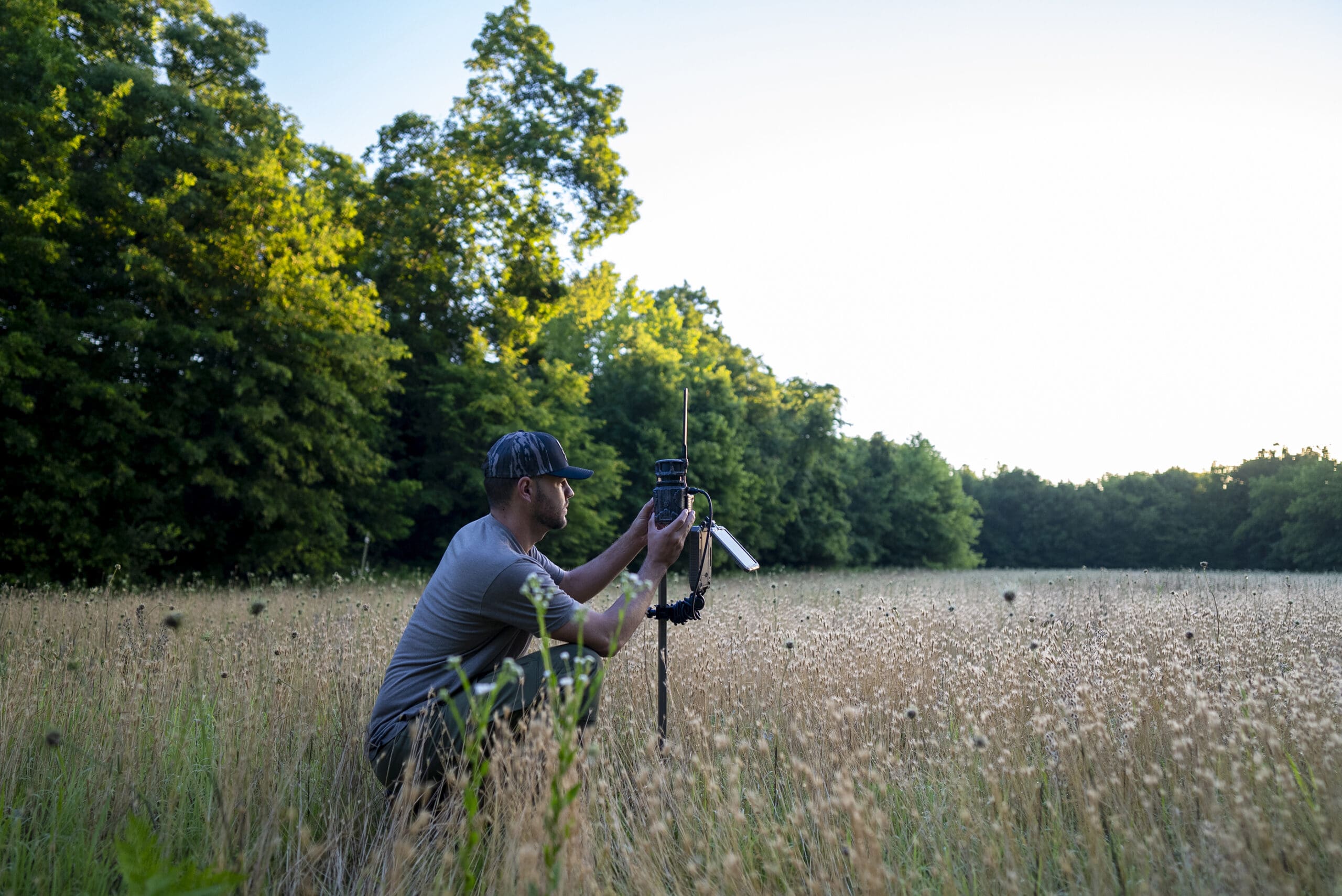 The Perfect Trail Camera Plan for Food Plots | Stealth Cam