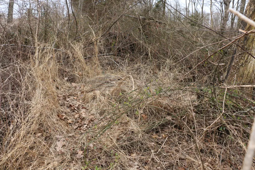 Trail Camera Layering Method | Stealth Cam
