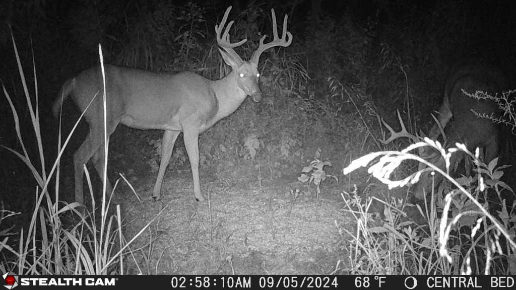 Trail Camera Layering Method | Stealth Cam