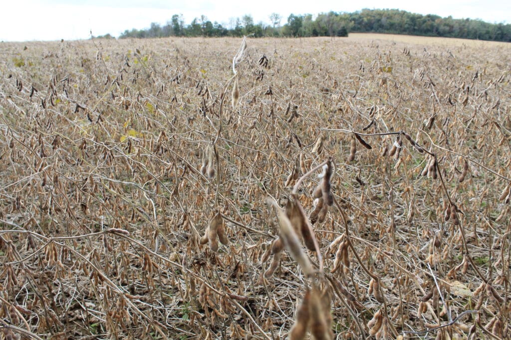 Trail Camera Layering Method | Stealth Cam