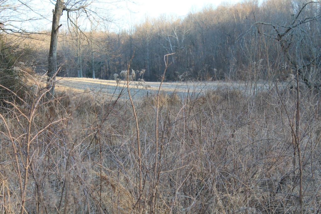 Trail Camera Layering Method | Stealth Cam