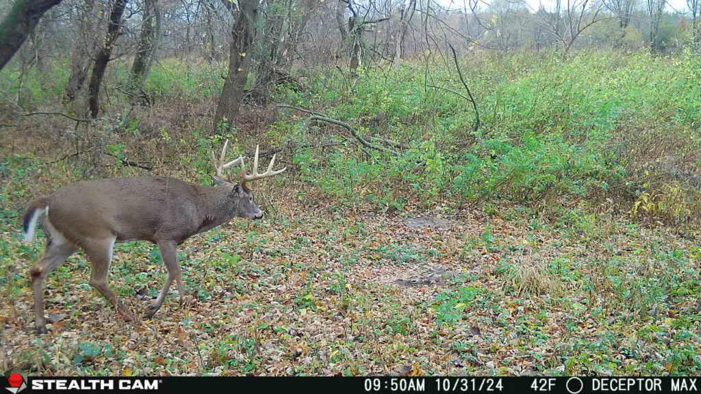 Deceptor™ Max Solar Battery Combo | Stealth Cam