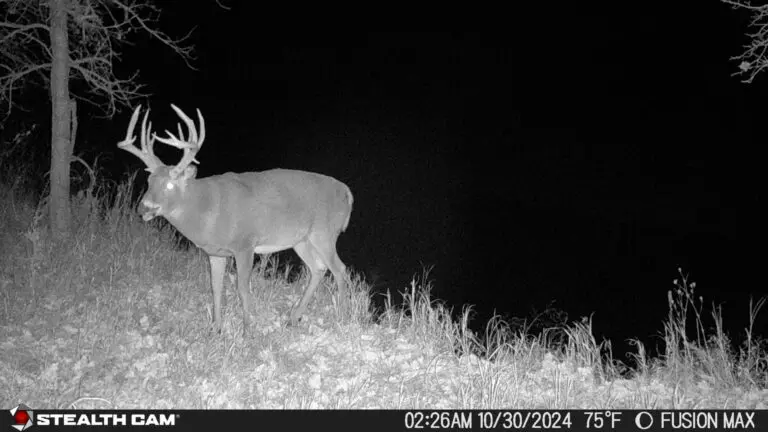 Fusion Max Cellular Trail Camera | Stealth Cam