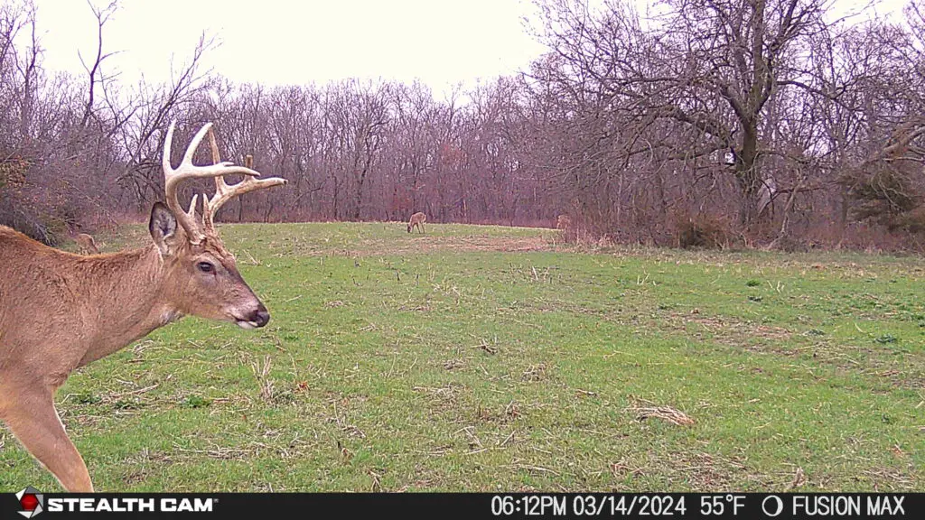 Fusion Max Cellular Trail Camera | Stealth Cam