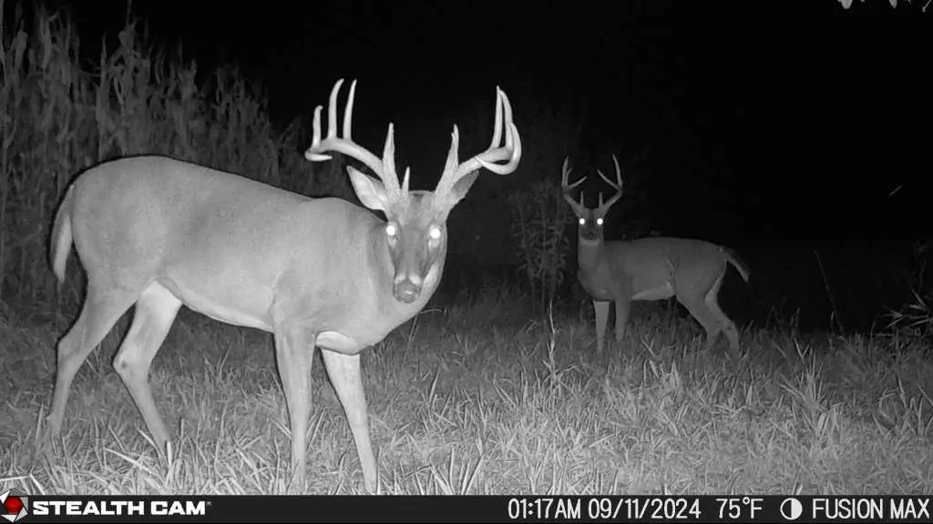 Fusion Max Cellular Trail Camera | Stealth Cam