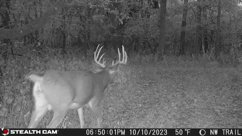 Fusion Max Cellular Trail Camera | Stealth Cam