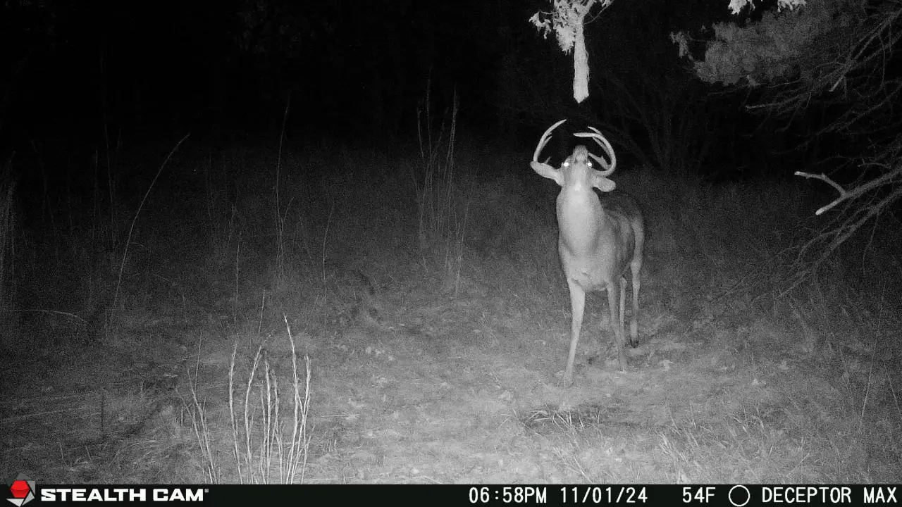 Deceptor Max Cellular Trail Camera | Stealth Cam