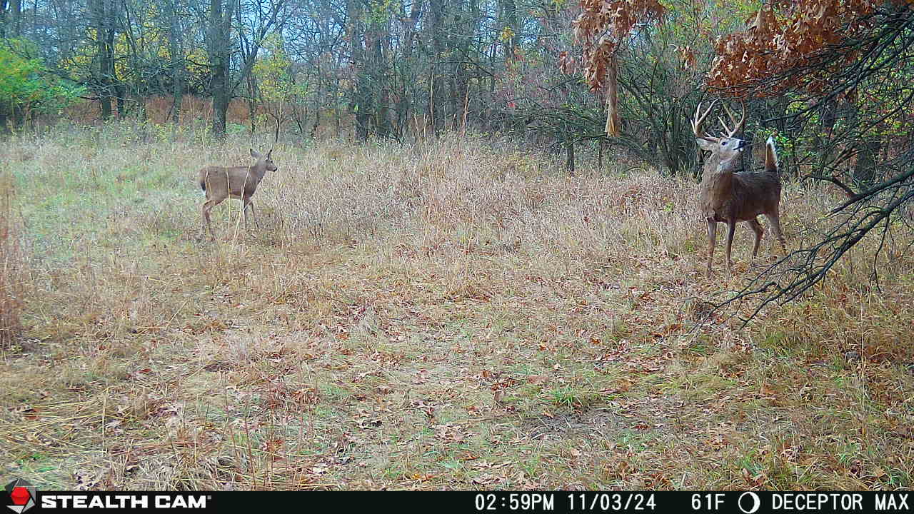 Deceptor Max Cellular Trail Camera | Stealth Cam