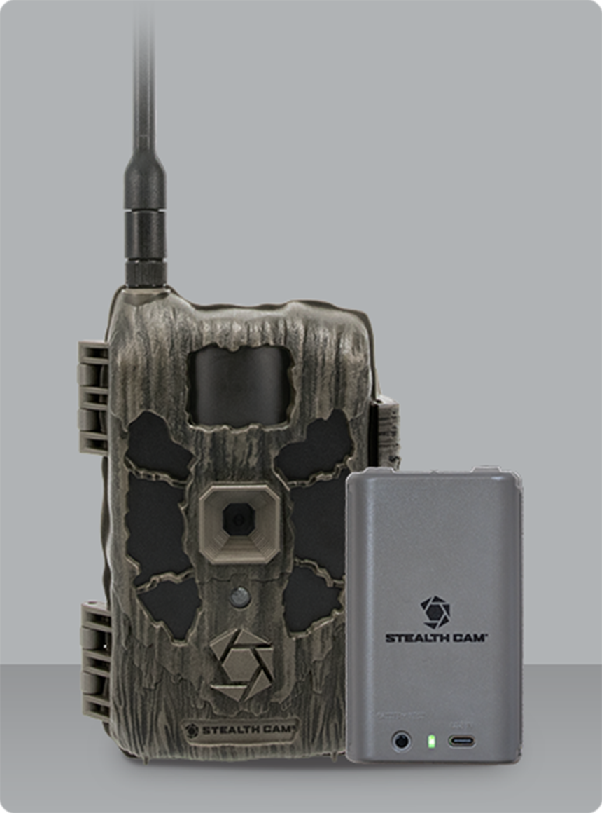 Live View | Stealth Cam