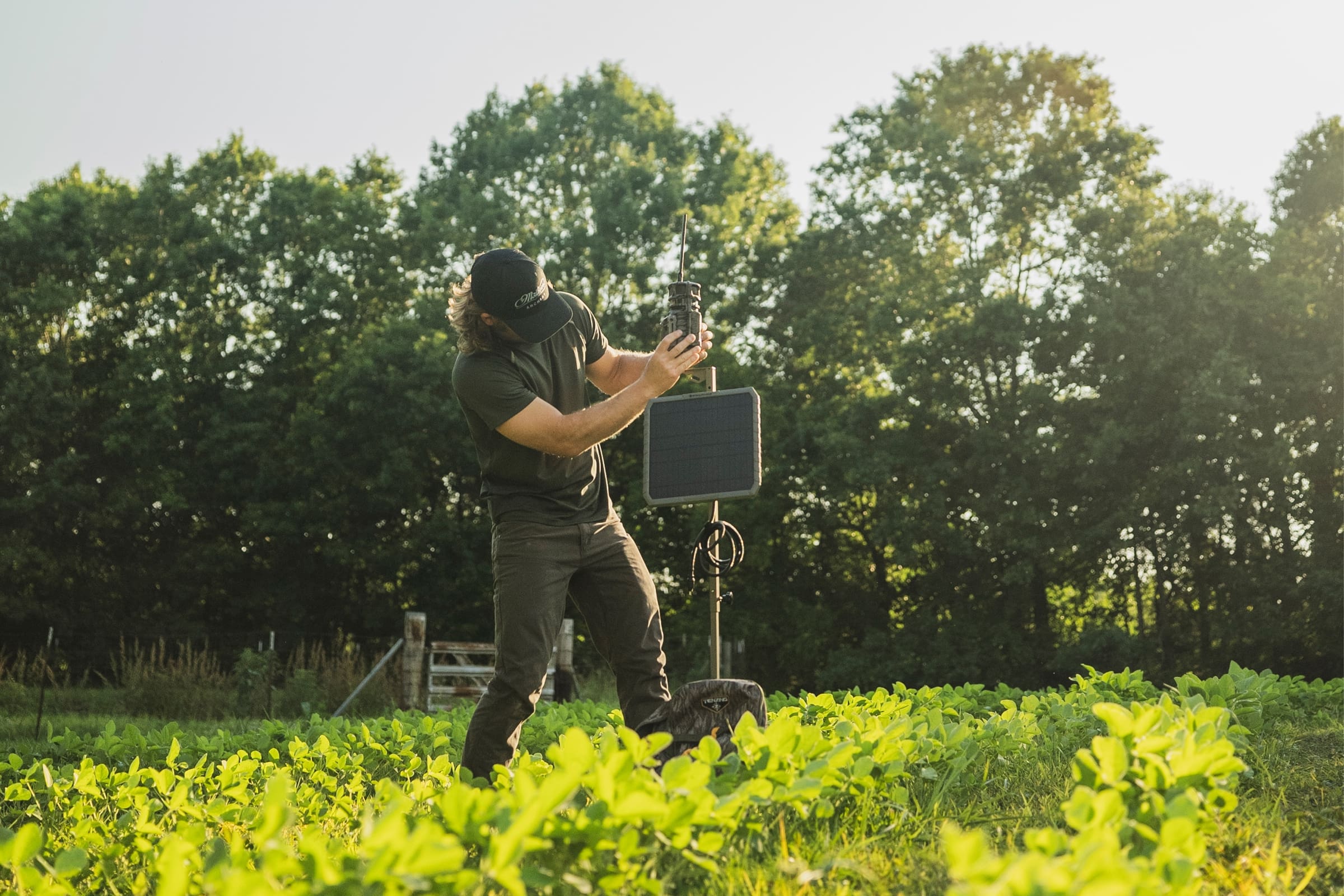 Summer Trail Cam Guide | Stealth Cam