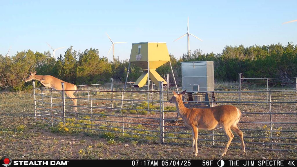 Spectre 4K Cellular Trail Camera | Stealth Cam