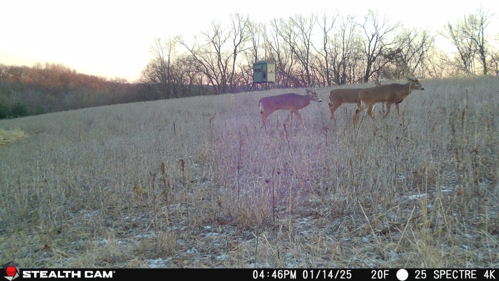 Spectre 4K Cellular Trail Camera | Stealth Cam