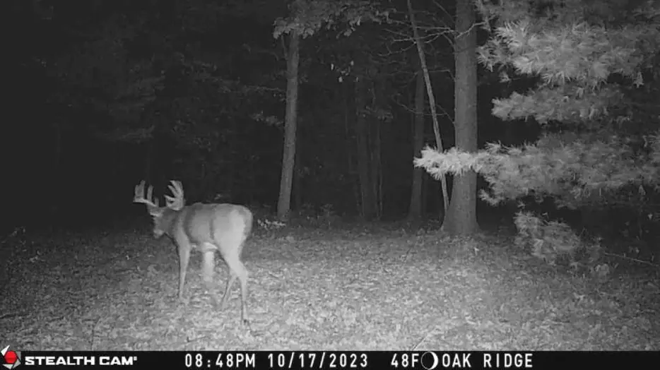 Connect MAX 2.0 Cellular Trail Camera | Stealth Cam