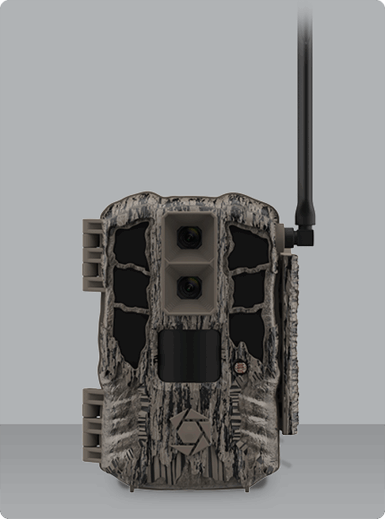 Live View | Stealth Cam