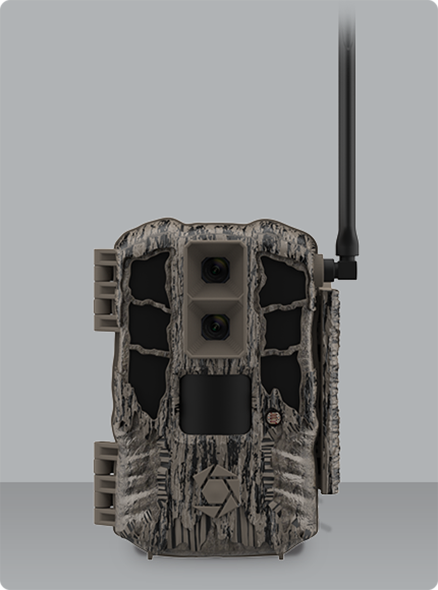 Live View | Stealth Cam