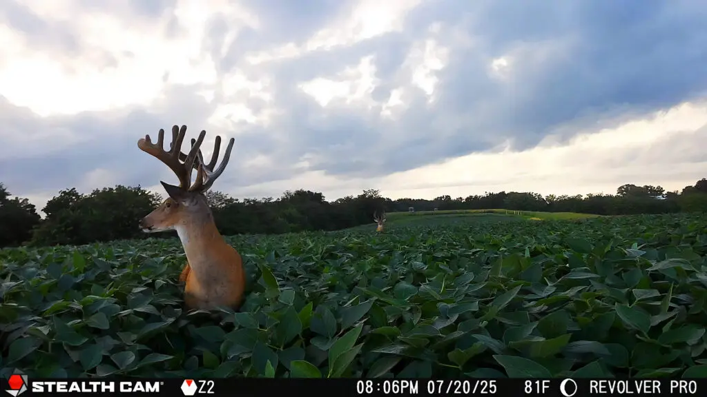 Revolver Pro 2.0 Solar Battery Combo | Stealth Cam